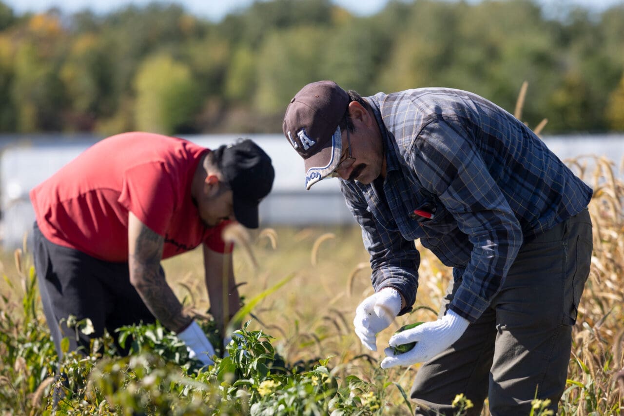 Occupational Health Nursing (OHN) | U-M COHSE