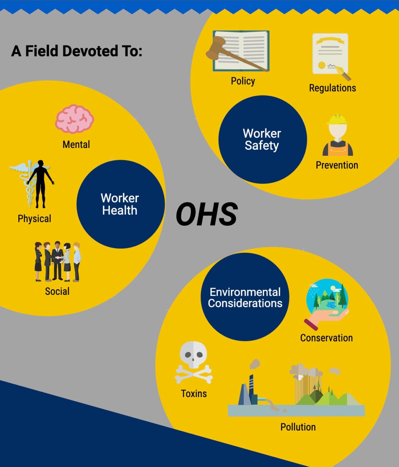 Why COHSE | U-M COHSE