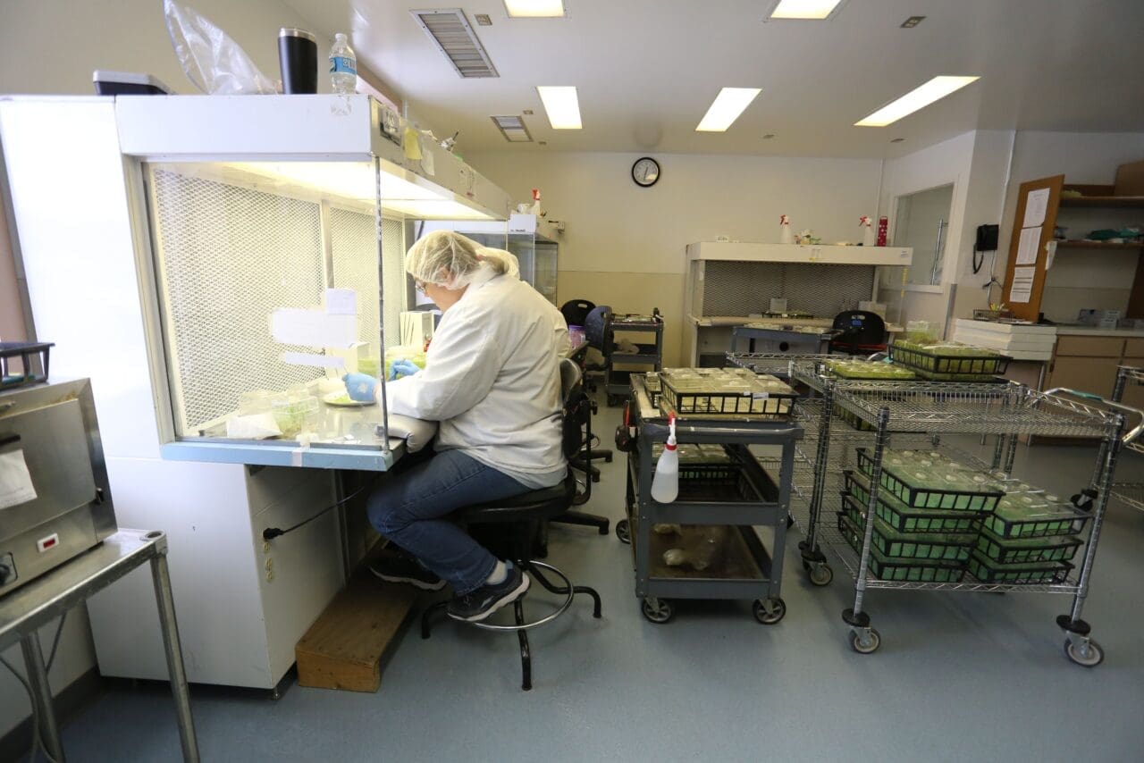 U-M COHSE | University of Michigan Center for Occupational Health and ...