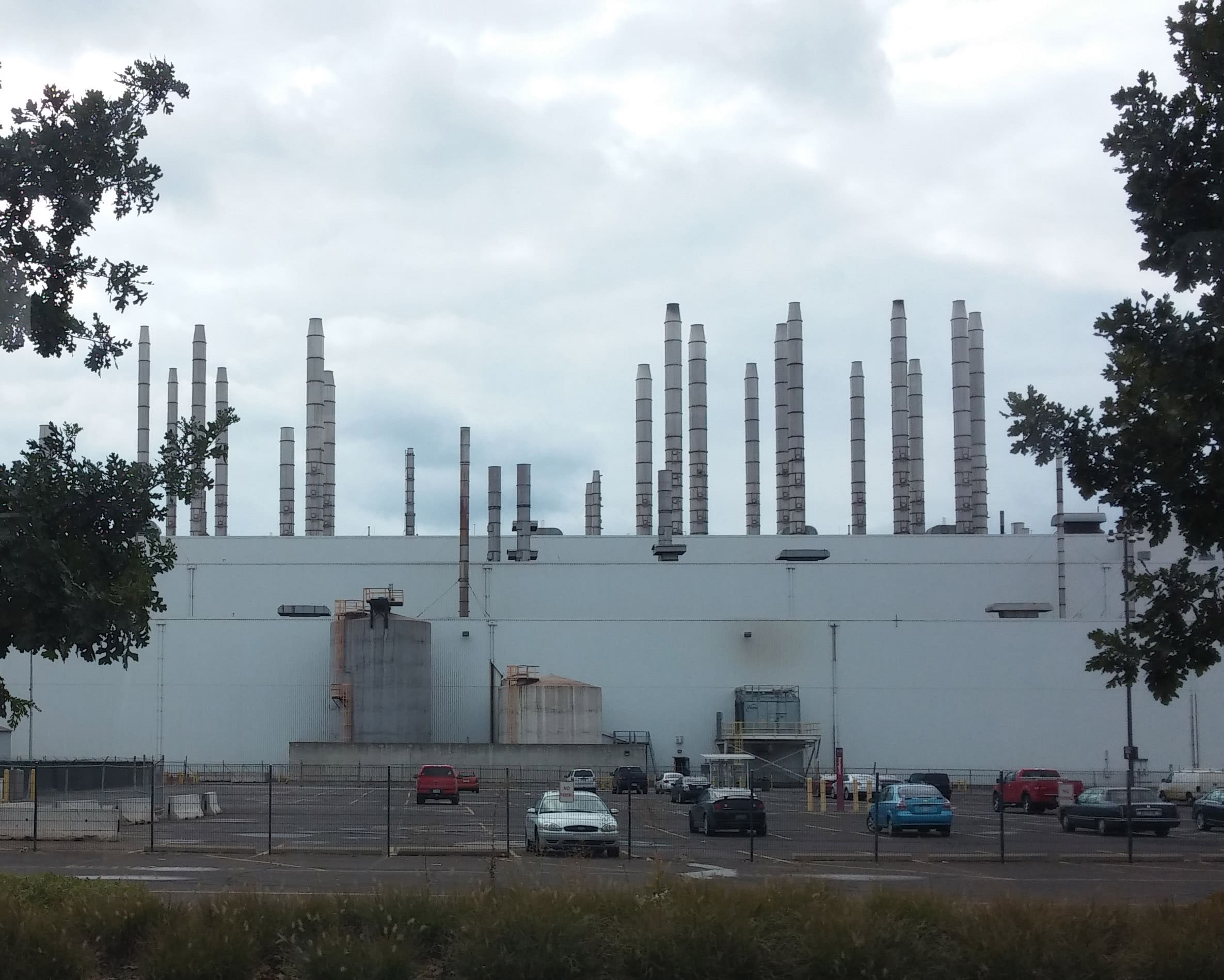 COHSE at the University of Michigan